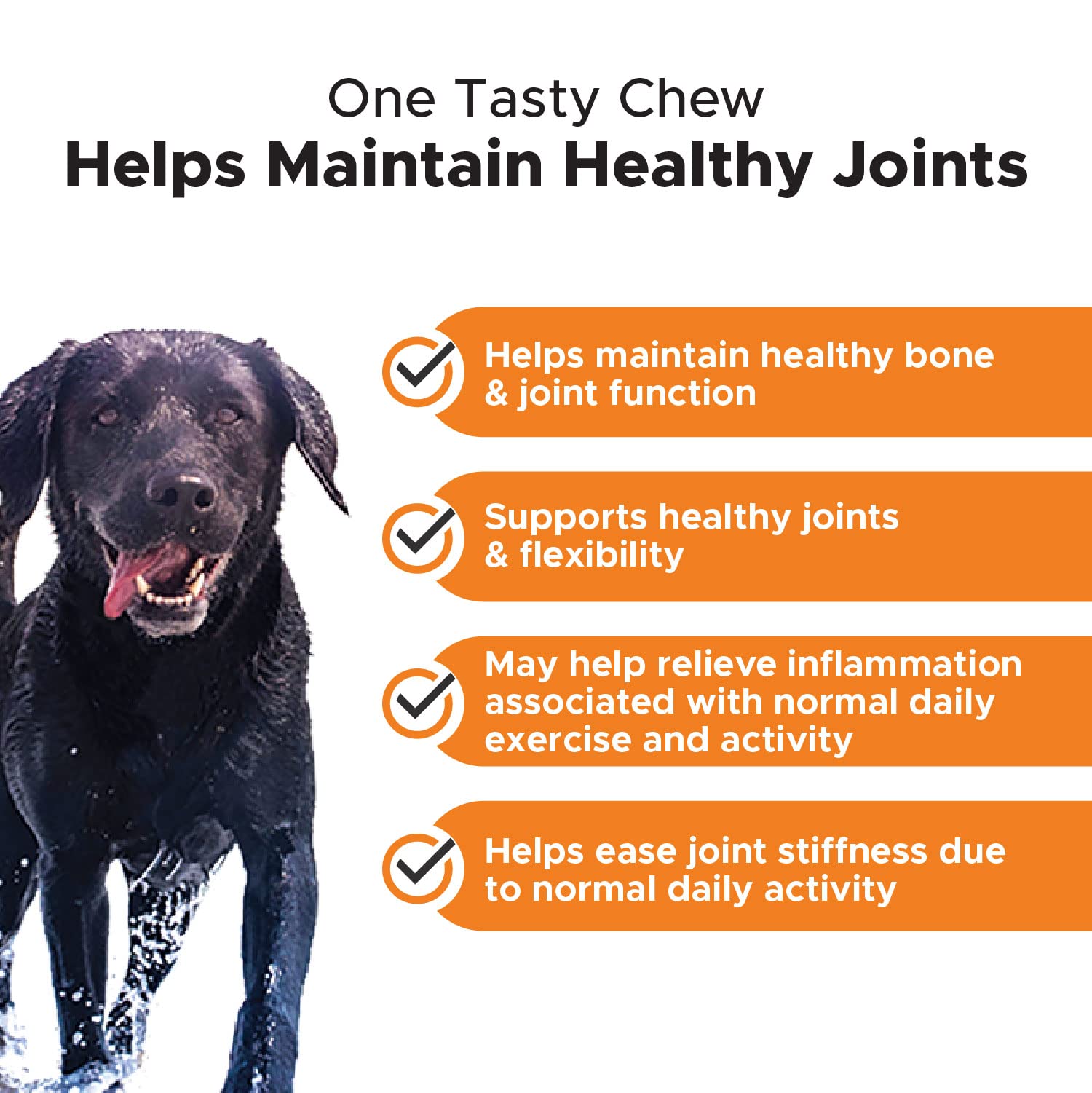 PetHonesty Allergy Support + Hip & Joint Health Soft Chew Bundle - Skin & Seasonal Pollen Allergies - Itch Relief for Dogs - Joint Support, Chondroitin, MSM, Turmeric, Pet Joint Pain Relief Vitamin