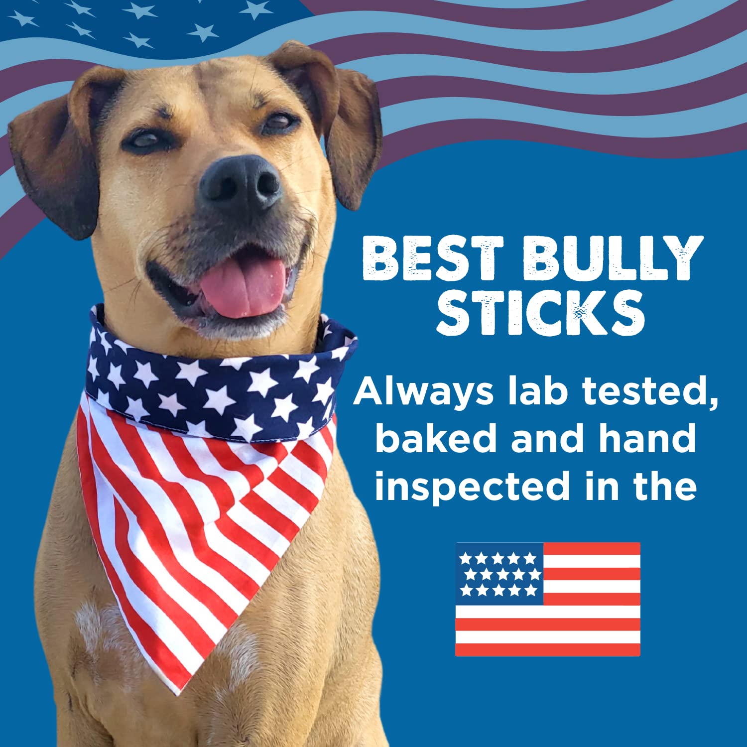 Best Bully Sticks All Natural Dog Chews - 6 Inch Chicken Wrapped Beef Collagen Sticks - USA Baked & Packed - Easily Digestible, Limited Ingredient, Rawhide Alternative Dog Chew - 5 Pack