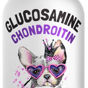 Liquid Glucosamine for Dogs Bacon Flavour Chondroitin, MSM & Hyaluronic Acid K9 Supplement Hip and Joint Formula Advanced Mobility Joint Pain Relief Senior Advanced Supplement for All Breeds 32 oz