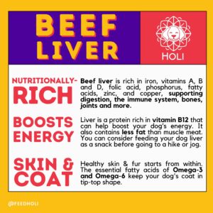 HOLI Beef Liver Dog Food Topper - Single Ingredient, Human-Grade - Freeze Dried Protein and Flavor Enhancer for Picky Dogs – Grain Free – 100% All Natural - 8oz