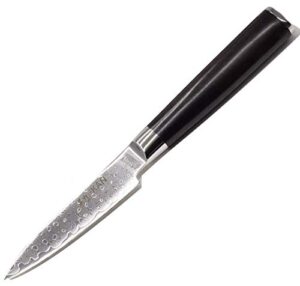 kan core 3.5-inch professional paring knife japanese vg-10 (g10 handle)