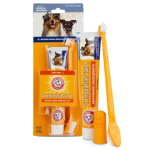 arm & hammer dog dental kit - enzymatic dog toothpaste 2.5 oz chicken flavor - dog toothbrush & finger brush - tartar & gum cleaning with baking soda enhanced formula - complete dental care for dogs