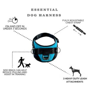 ShawnCo Essential Dog Harness, No-Pull Pet Vest with 3 Leash Clips, No Choke, Reflective, Adjustable and Padded, for Easy Walking and Training for Small, Medium and Large Dogs (Rose Gold, L)