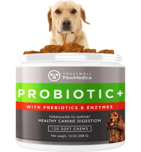 pawmedica dog probiotics and digestive enzymes, probiotics for dogs made in usa, pet probiotic chews for dogs, prebiotics & probiotic dog digestive support, probiotic treats - 120 dog probiotic chews