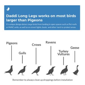 Bird Barrier Daddi Long Legs | 8-Ft Stainless Steel Bird Deterrent for Outside, HVAC, Boat, Docks - Effective Bird Repellent for Seagull, Pigeon, Woodpeckers, Ducks, and Large Birds | Scare Birds Away