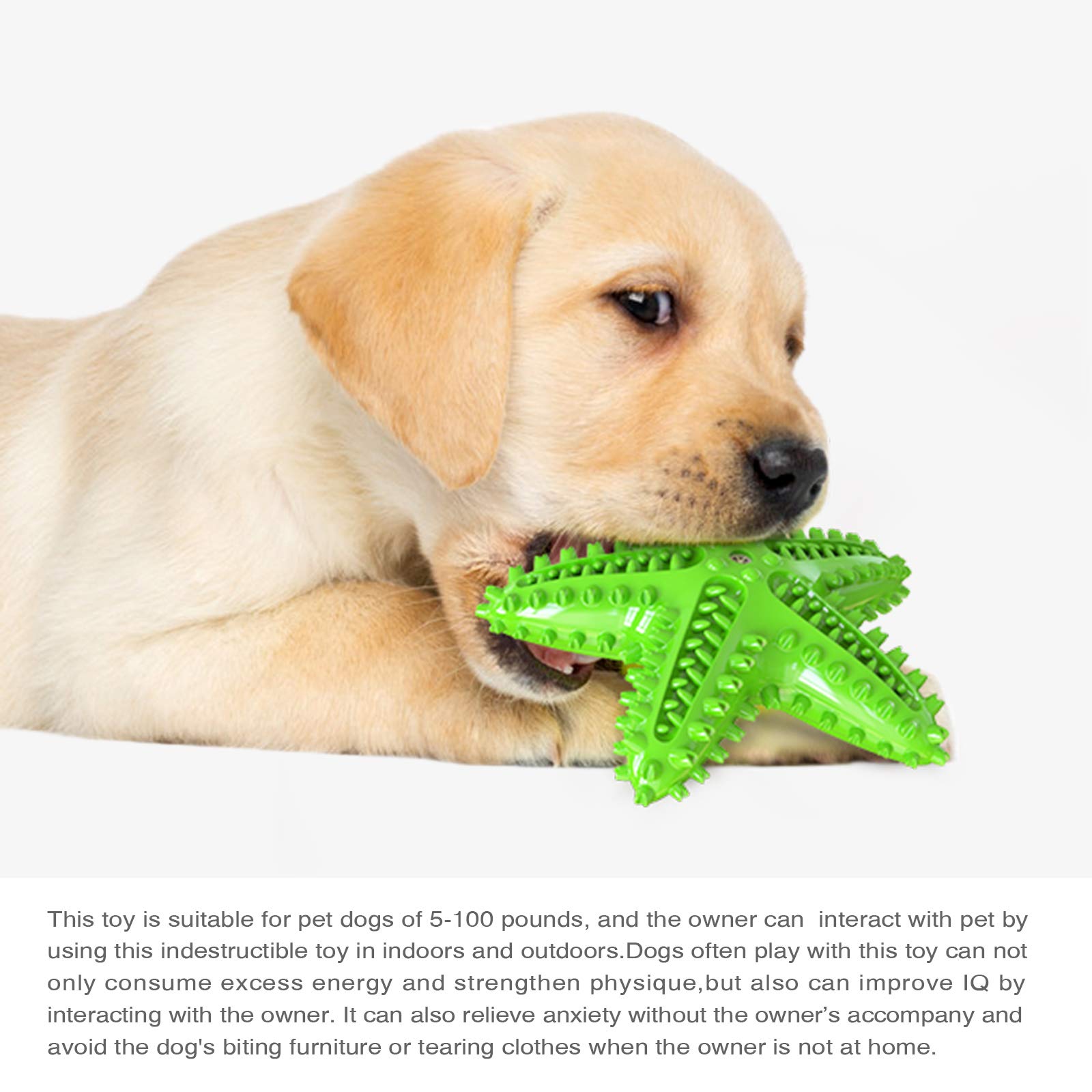 Carllg Dog Toys for Aggressive Chewers, Puppy Teething Chew Toys, Durable Indestructible Squeaky Interactive Puzzle Starfish Toys for Small Medium Large Breed