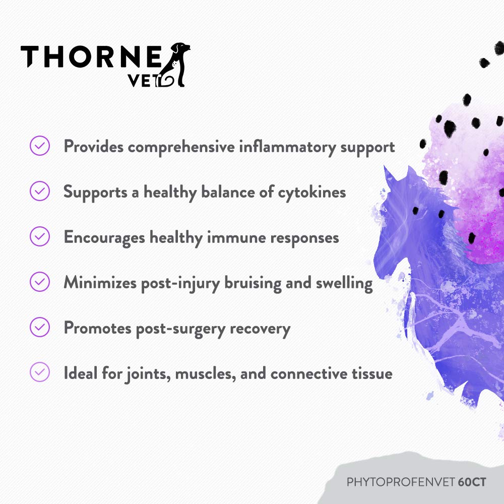 ThorneVet PhytoprofenVET – Inflammatory Support for Dogs, Cats & Horses, 60 Soft Chews