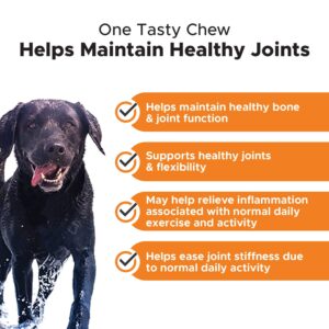 PetHonesty 10 in 1 Multivitamin + Hip & Joint Health Soft Chew Supplement Bundle - Dog Vitamins - Glucosamine Chondroitin, Omegas, Turmeric and MSM for Overall Dog Health, Joint Supplement for Dogs.