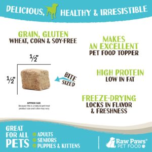 Raw Paws Freeze Dried Lamb Liver Treats for Dogs & Cats, 4-oz - Lamb Dog Treats Made in USA - Lamb Puppy Treats for Training - Liver Dog Treats - Cat Liver Treats for Dogs - Freeze Dried Dog Treats