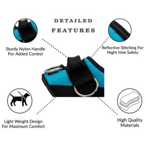 ShawnCo Essential Dog Harness, No-Pull Pet Vest with 3 Leash Clips, No Choke, Reflective, Adjustable and Padded, for Easy Walking and Training for Small, Medium and Large Dogs (Oceanic Blue, S)