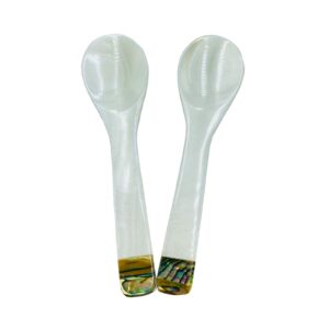 wenplus 2 pack 3.94inch caviar spoons handcraft mother of pearl mop caviar spoon w round handle with one plastic storage box - white, style b