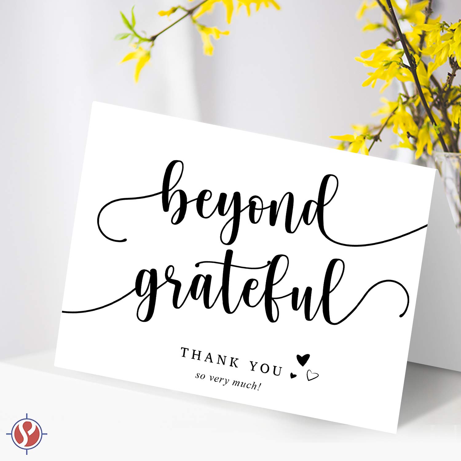 Beyond Grateful Thank You So Very Much Greeting Cards & Envelopes – Appreciation, Weddings, Christmas, Holidays, Small Business, Baby Bridal Showers, Funerals, Graduation – 4.25 x 5.5” | 10 per Pack