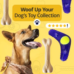 American Pet Supplies Chew Toys, Nylon Bone and Boomerang Tennis Ball Toy Set for Puppies and Dogs (Medium Bone, Boomerang, Tennis Ball)