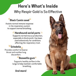 Pet Wellbeing Respir-Gold for Dogs - Supports Healthy Breathing, Open Airways, Respiratory Support, Black Cumin, Horehound, Grindelia - Veterinarian-Formulated Herbal Supplement 2 oz (59 ml)