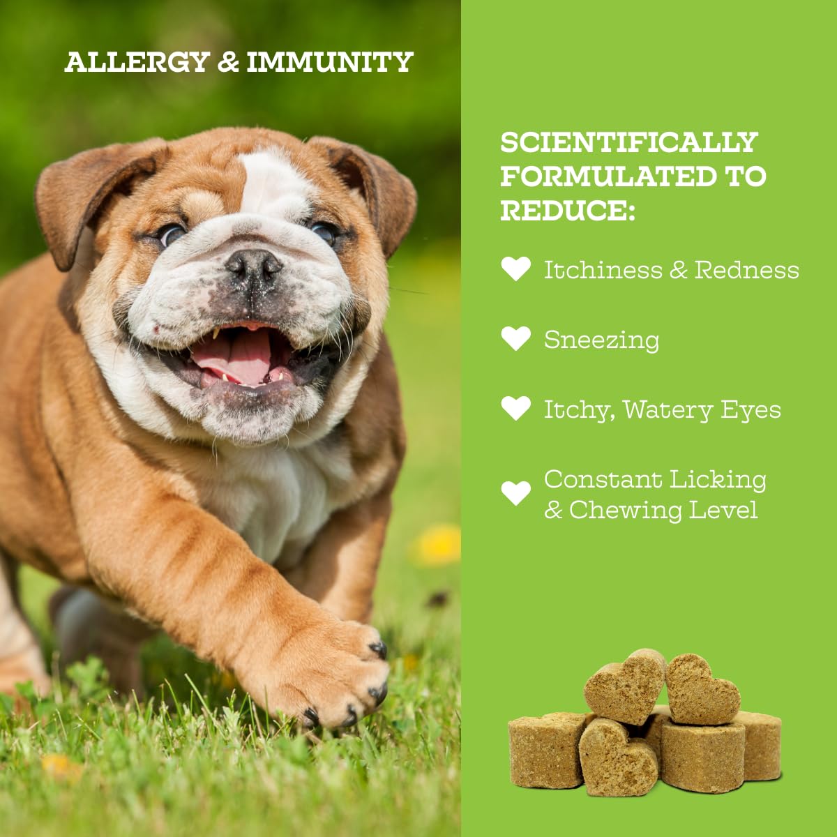 Moe’s Allergy and Immune Support for Dogs-Supports Anti-Itch, Seasonal Allergies & Immunity-Omega 3 Wild Alaskan Salmon Fish Oil - Dog Allergy Treatment, Skin Health- Made in USA- 90 Chews (Chicken)