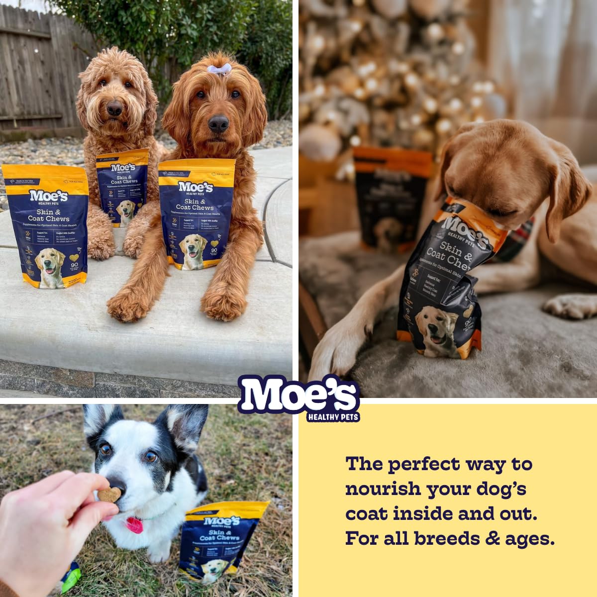 Moe’s Skin & Coat Omega 3, 6, 9 and Vitamin Supplement for Dogs- Supports Dryness, Itch Relief, & Thick, Shiny Coats- Premium Wild Alaskan Salmon Oil- For All Ages and Breeds- 90 Salmon Flavored Chews