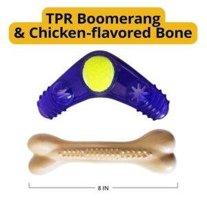 American Pet Supplies Chew Toys, Nylon Bone and Boomerang Tennis Ball Toy Set for Puppies and Dogs (Medium Bone, Boomerang, Tennis Ball)