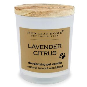 red leaf home | lavender citrus pet deodorizing jar candle | large | gift, perfect for dog & cat owners | contains deoboost | 15.5oz