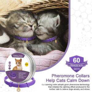 2 Pieces Calming Cat Collar Lavender Scent Relaxing Cat Collar Adjustable Longlasting Reduce Anxiety Cat Collar with Pendant for Puppy Cat Reduce Stress Aggression and Anxious Behavior, up to 15 Inch