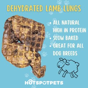 hotspot pets Beef Lung Dog Treats -1LB Resealable Bag- Slow Roasted All Natural Dehydrated Premium Beef Chew Treats for Dogs - No Hormones- Rawhide Alternative Snack for All Breeds