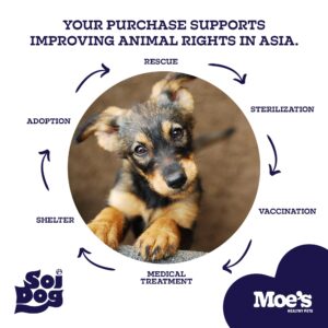 Moe’s Skin & Coat Omega 3, 6, 9 and Vitamin Supplement for Dogs- Supports Dryness, Itch Relief, & Thick, Shiny Coats- Premium Wild Alaskan Salmon Oil- For All Ages and Breeds- 90 Salmon Flavored Chews