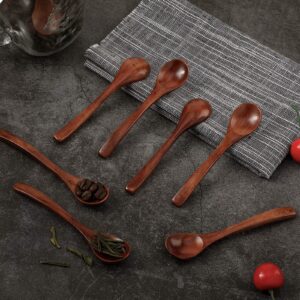 Patelai 12 Pcs Small Wooden Spoons 5 Inch Honey Spoons for Tea Mini Wood Tasting Spoons for Cooking Little Tiny Wooden Eating Serving Spoons for Desserts, Coffee, Jars(Brown)