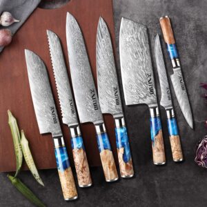 XT XITUO Kitchen Chef Knife Set 7 Piece, Chef Knife, 8'' Bread Knife, 7''Santoku knife Damascus Steel-VG10 Blue Resin Wood Handle -Gift Box - w/knife Sheath (7PC Chef Knife Set)