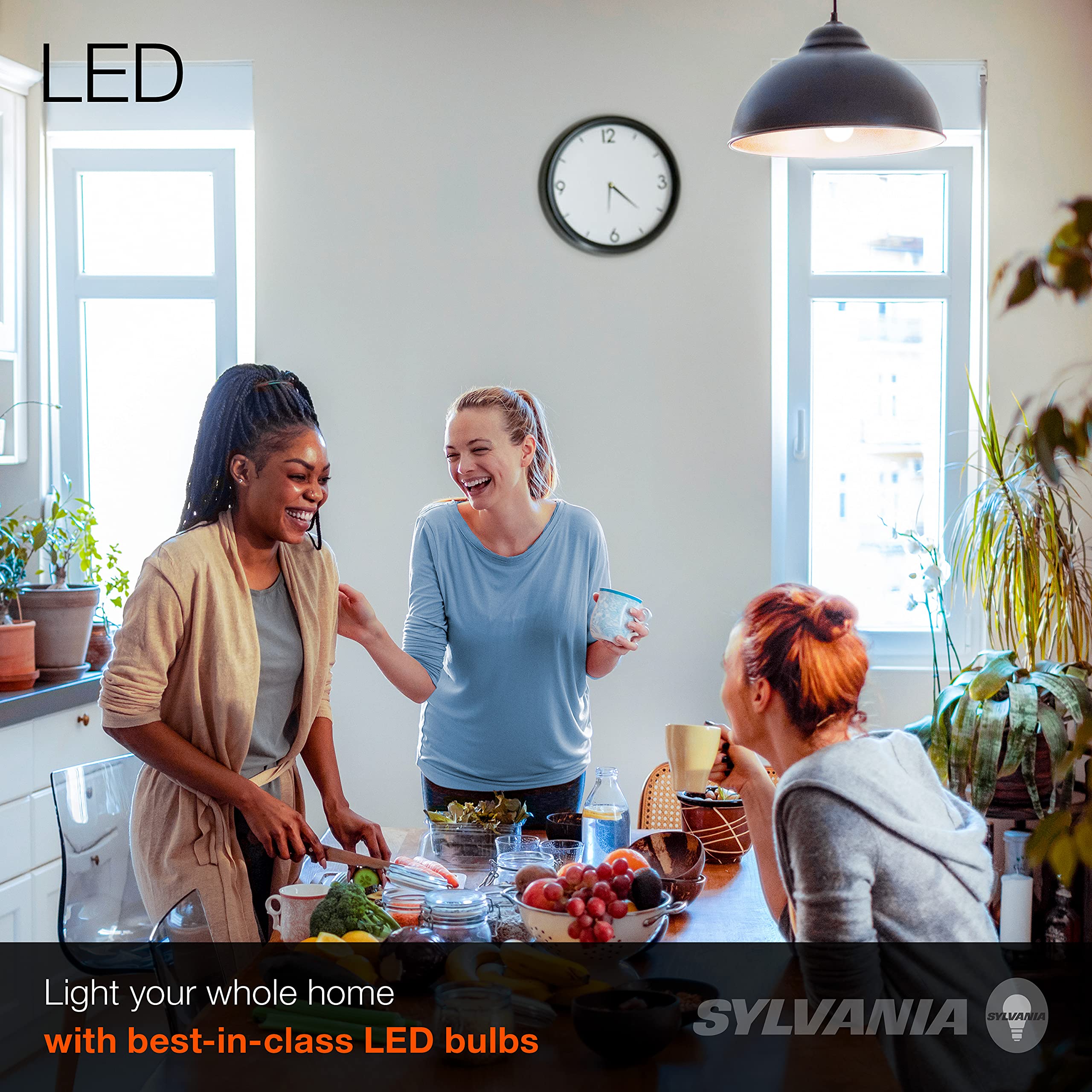 SYLVANIA LED A19 Light Bulb, 100W Equivalent, Efficient 16W, Dimmable, 1600 Lumens, Frosted, 5000K, Daylight - 4 Pack (40739)