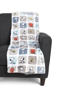 peanuts gang snoopy & woodstock velvet soft throw blanket by berkshire blanket & home co. | 50" x 70"