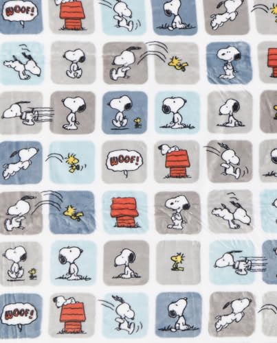 Peanuts Gang Snoopy & Woodstock Velvet Soft Throw Blanket by Berkshire Blanket & Home Co. | 50" x 70"