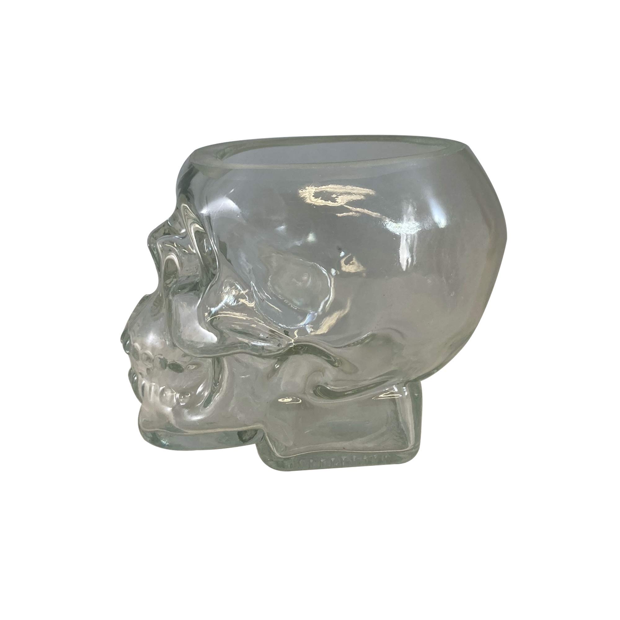 Asylum Zone Glass Skull Makeup Brush Holder, One Size