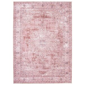 DECOMALL Kalina Washable Area Rugs Pink, Bohemian Vintage Foldable Carpet for Foyer Laundry Room Bedroom, 4x6ft