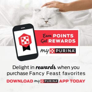 Purina Fancy Feast Gourmet Wet Cat Food Variety Pack, Petites Pate Collection, break-apart tubs, 48 servings - (Pack of 24) 2.8 oz. Tubs