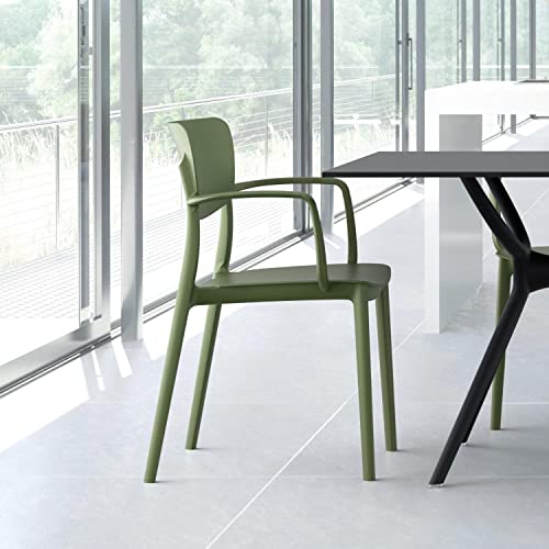 Siesta Lisa Outdoor Set of 2 Dining Arm Chair Olive Green ISP126-OLG