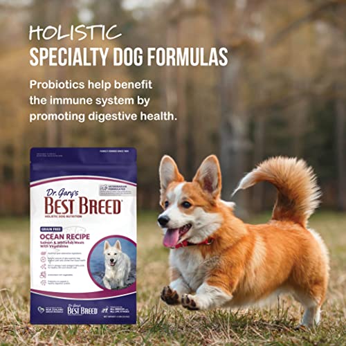 Best Breed Dr. Gary's Grain Free Ocean Recipe Slow-Cooked in USA, Natural Dry Dog Food for All Breeds and Sizes, 4lbs.