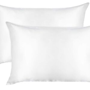 Curly Girl Microfiber Satin Pillowcase for Hair and Skin Pillowcase 2 Pack, Pillow Cases Set of 2 - Slip Cooling Satin Pillow Covers with Envelope Closure (Ivory, Queen)