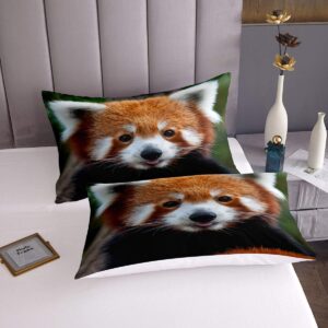 Feelyou Red Panda Duvet Cover Cute Panda Bedding Set for Kids Boys Girls Wild Animal Decor Comforter Cover Jungle Wildlife Style Bedspread Cover Bedroom Collection 2Pcs Twin Size