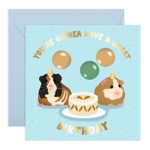 central 23 - birthday card for women - funny birthday card - 'you're guinea have a great birthday' - cute fun design for him her - guinea pig themed card - comes with sweet stickers