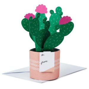 hallmark paper wonder pop up card (potted cactus) for mother's day, birthday, thinking of you, congrats, get well, appreciation, any occasion