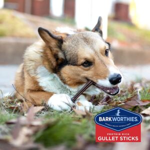 Barkworthies Beef Gullet Sticks for Dogs - 2 pk of 12 - Improved Natural Chewy Grain Free Dog Treats - Long Lasting Dog Chew - Dental Dog Treats for Healthy Teeth for Healthy Bones & Joints, E-Book