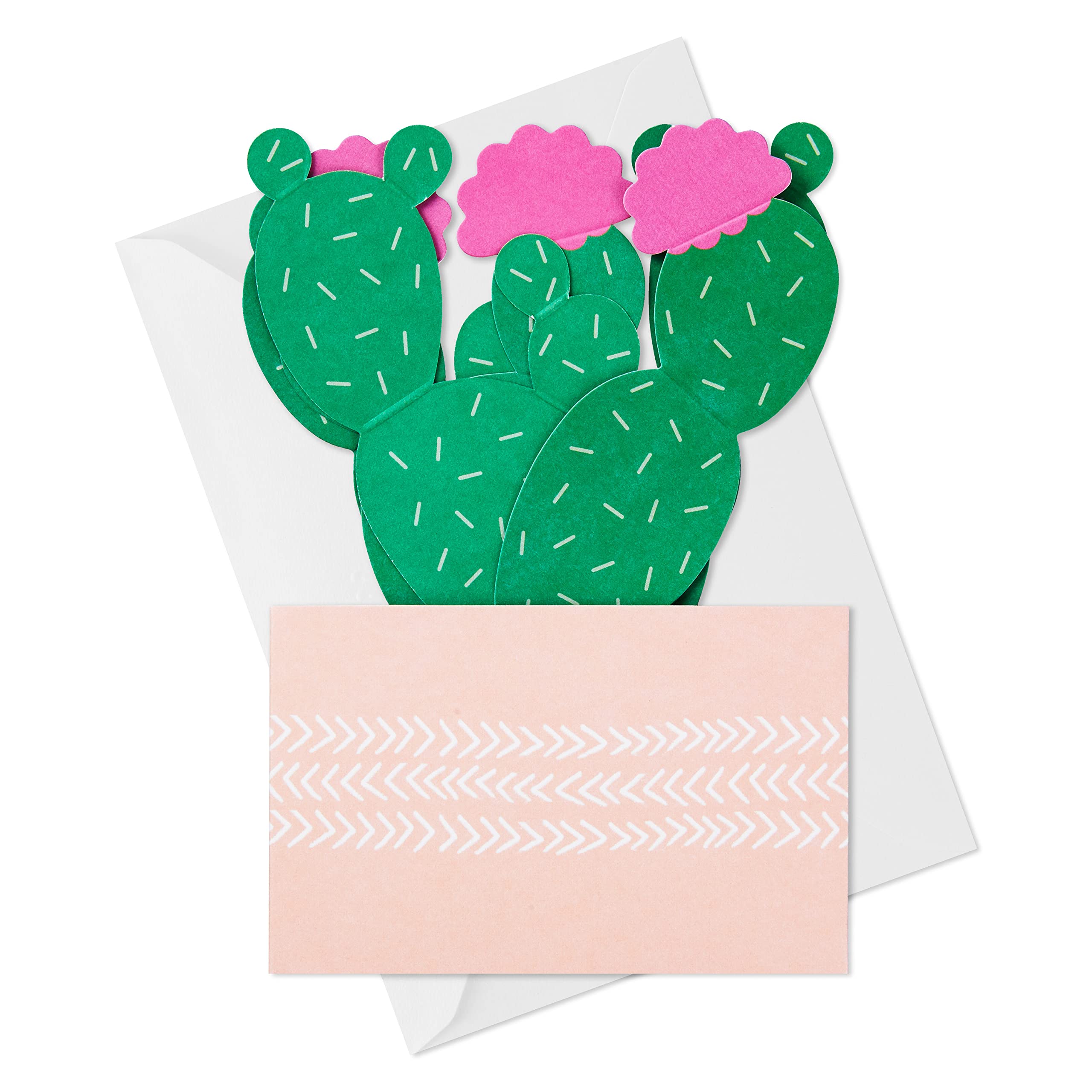 Hallmark Paper Wonder Pop Up Card (Potted Cactus) for Mother's Day, Birthday, Thinking of You, Congrats, Get Well, Appreciation, Any Occasion