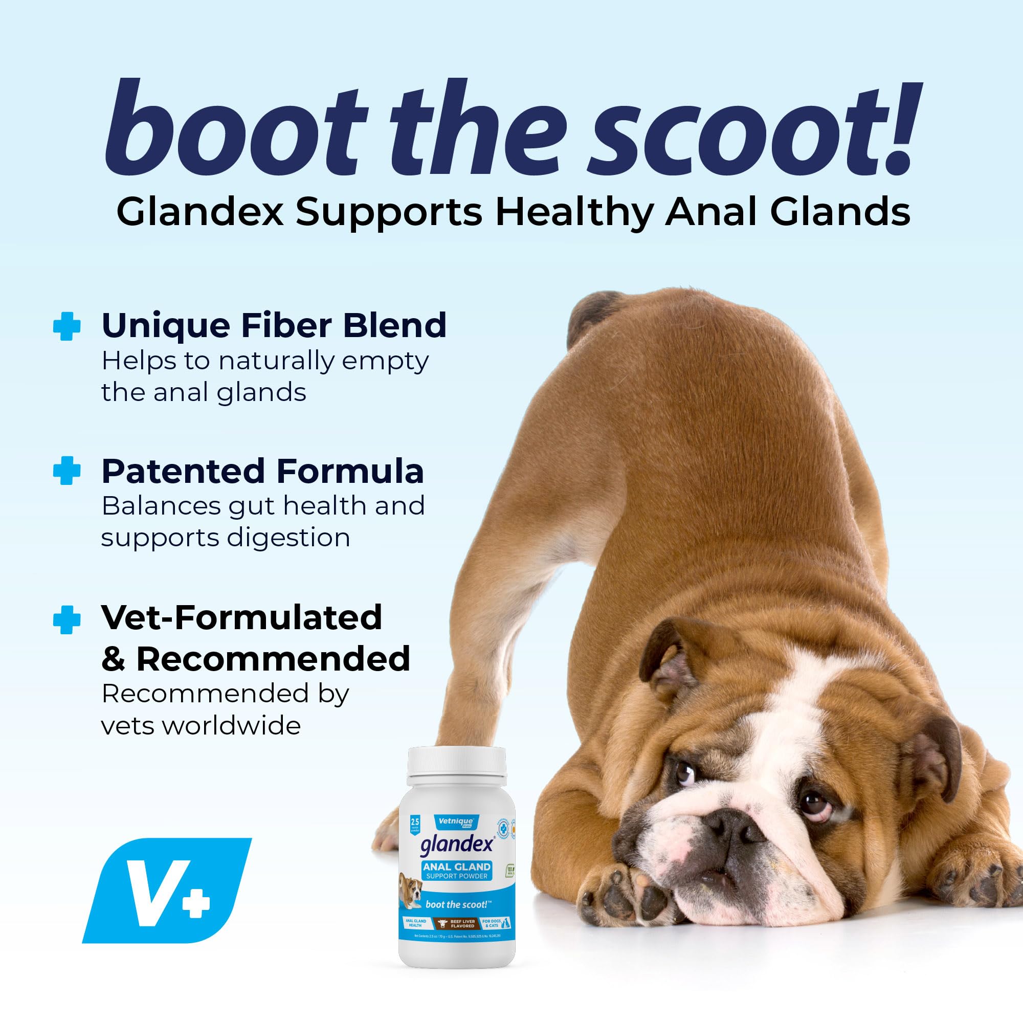 Vetnique Labs Glandex Dog Anal Gland Fiber Supplement Beef Powder (4oz) & Dermabliss Dog Allergy Itch Relief Soft Chews (30ct) Bundle