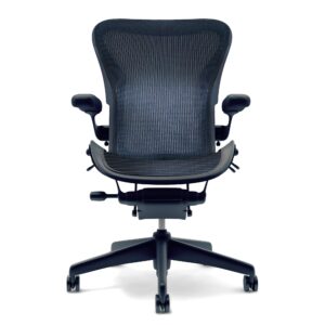 OFFICE LOGIX SHOP Back Mesh fit Classis and Remastered Aeron Chair - Black mesh - Size B (1)