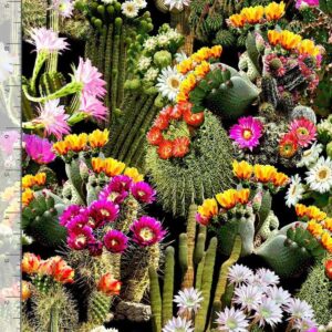 Timeless Treasures Packed Cacti Flowers Cactus Premium Quality 100% Cotton Fabric by The Yard.