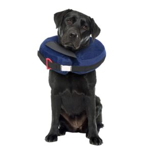 calm paws behavior support protective inflatable collar large w/dog calming disc