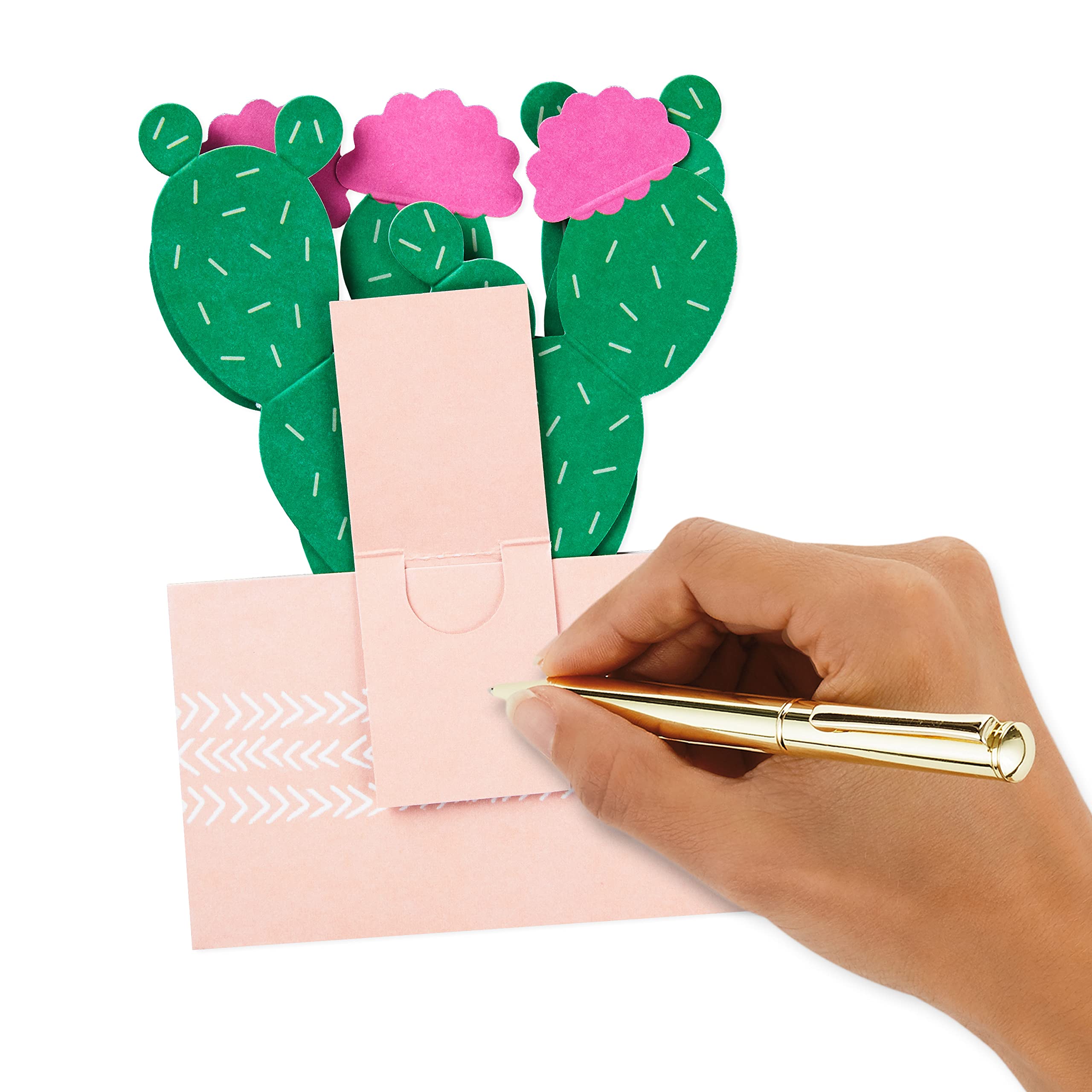 Hallmark Paper Wonder Pop Up Card (Potted Cactus) for Mother's Day, Birthday, Thinking of You, Congrats, Get Well, Appreciation, Any Occasion