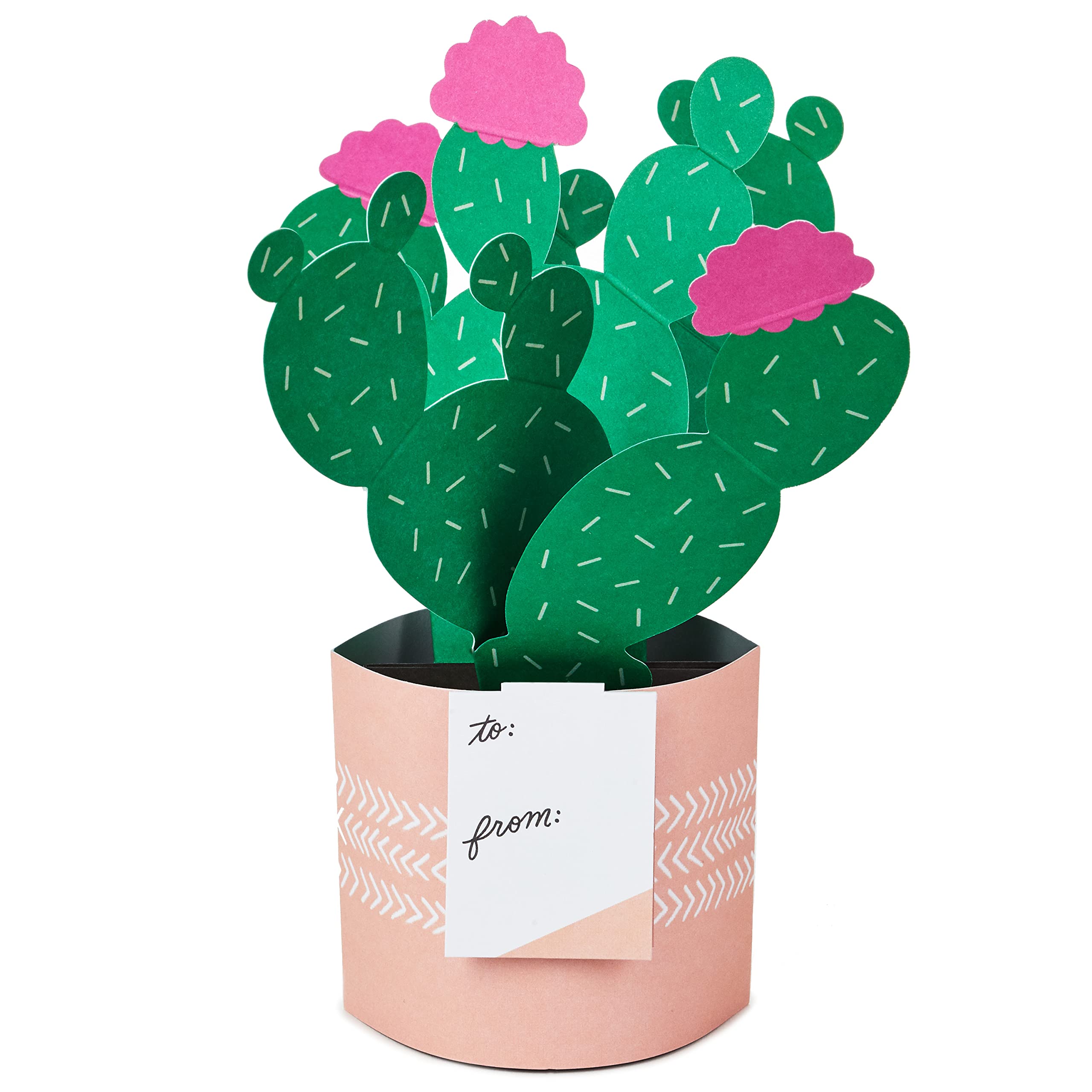 Hallmark Paper Wonder Pop Up Card (Potted Cactus) for Mother's Day, Birthday, Thinking of You, Congrats, Get Well, Appreciation, Any Occasion