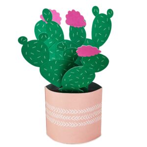 Hallmark Paper Wonder Pop Up Card (Potted Cactus) for Mother's Day, Birthday, Thinking of You, Congrats, Get Well, Appreciation, Any Occasion