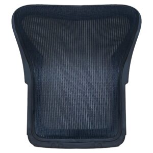 OFFICE LOGIX SHOP Back Mesh fit Classis and Remastered Aeron Chair - Black mesh - Size B (1)