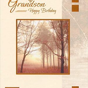 Designer Greetings I'm Glad: Tall Trees in Orange Foil Square Frame Grandson Birthday Card